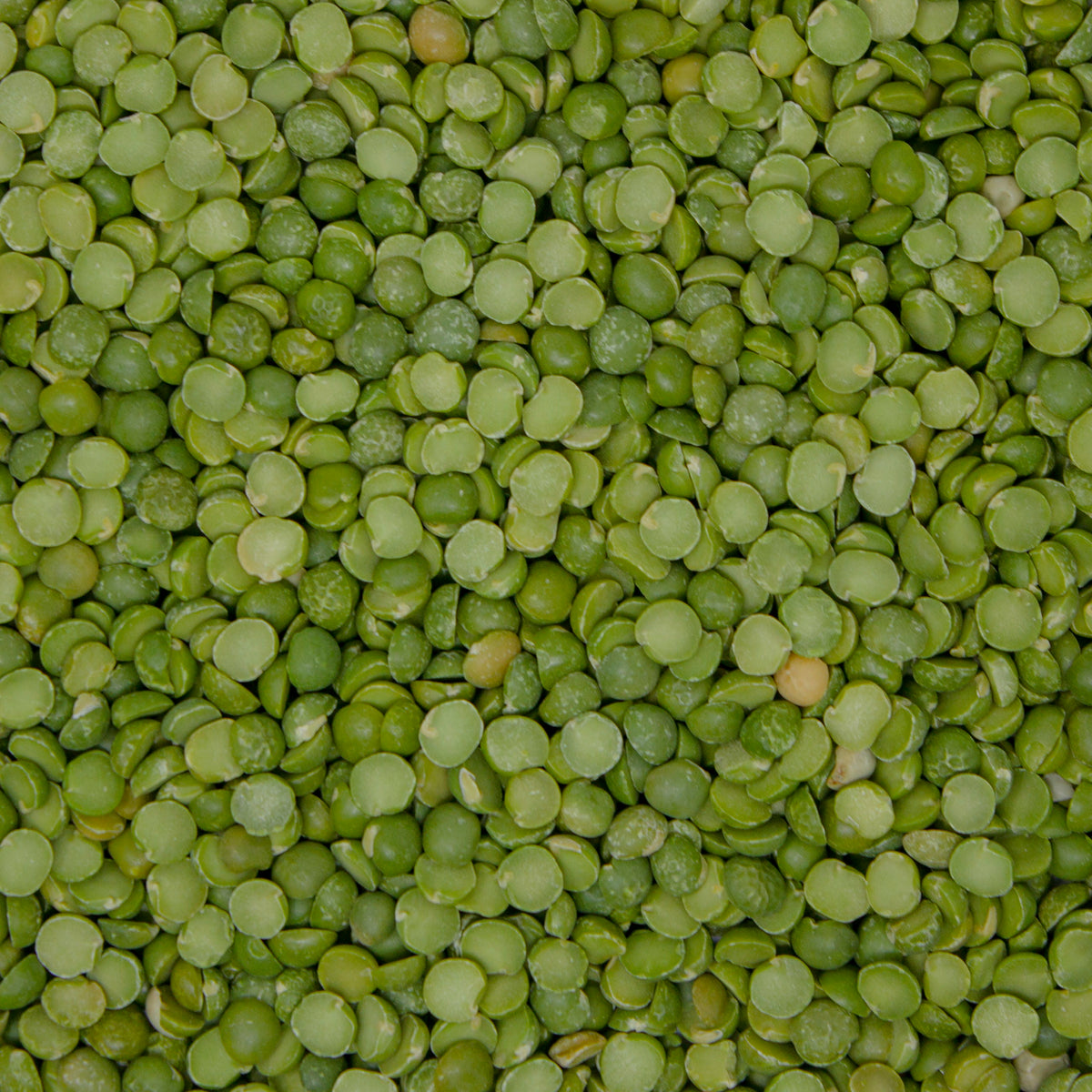 CHÍCHARO MITADES – Negro Mostaza