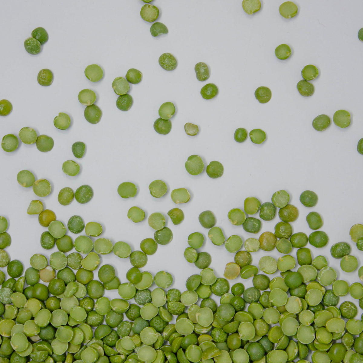 CHÍCHARO MITADES – Negro Mostaza